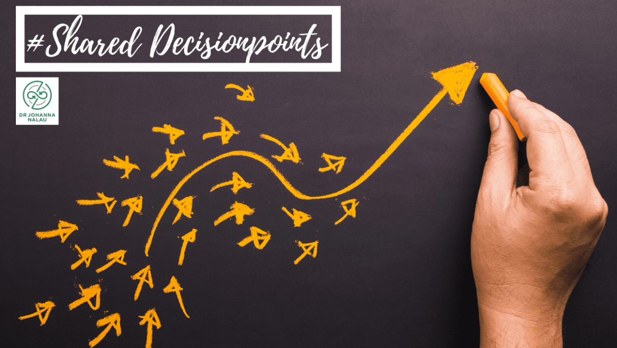 How to use decision points in real time — Johanna Nalau
